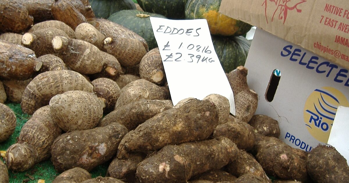 Garden Organic | Eddoe, taro