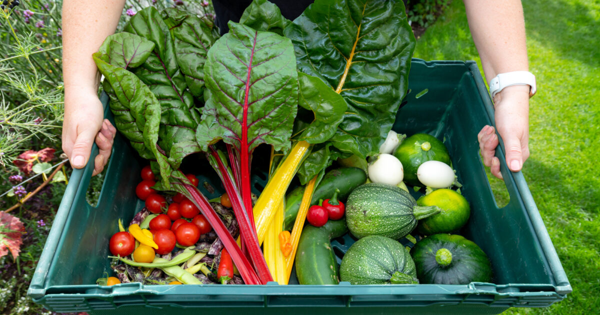 Garden Organic - Discover organic growing