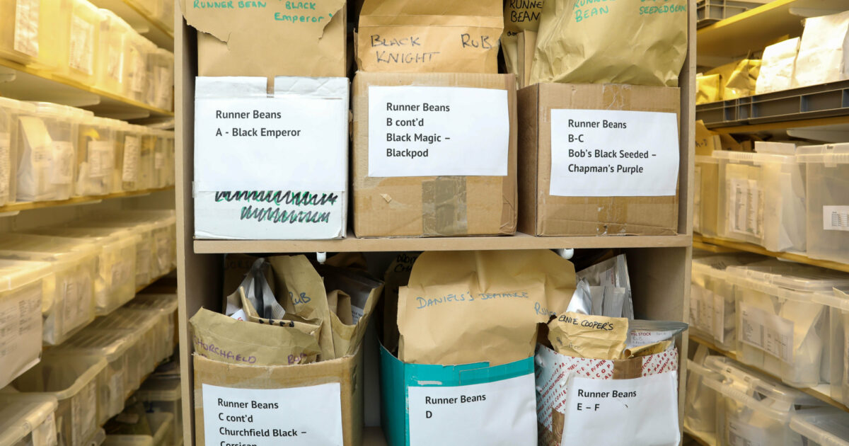 Garden Organic | How the seed library works