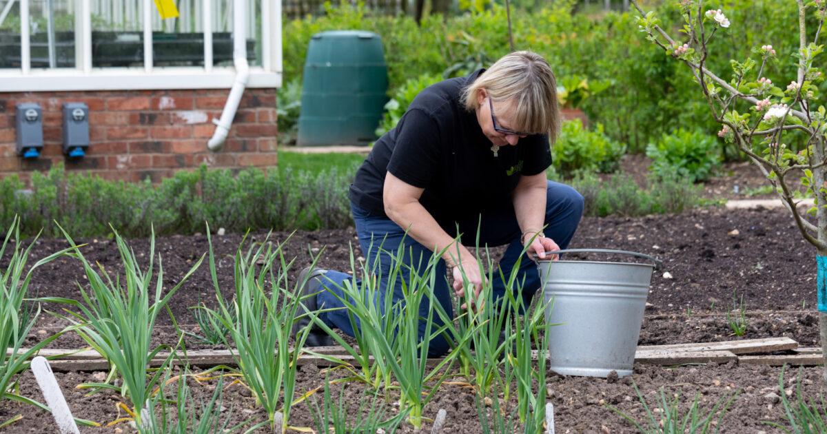 Garden Organic | Local gardening groups