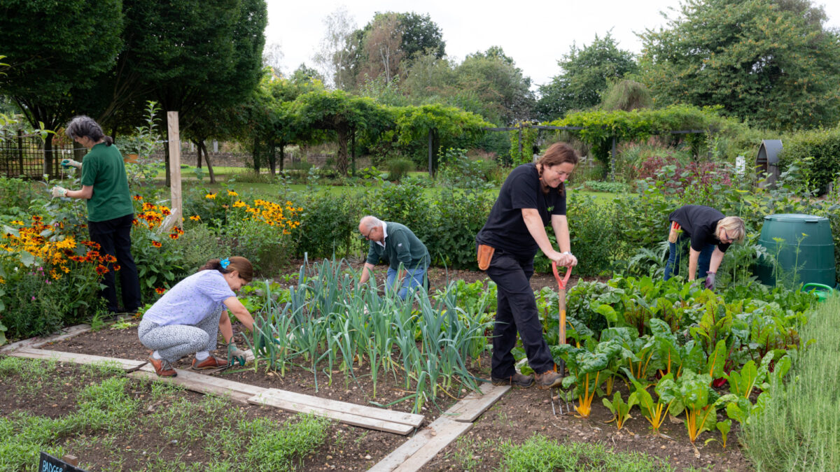 Garden Organic | Volunteer with us