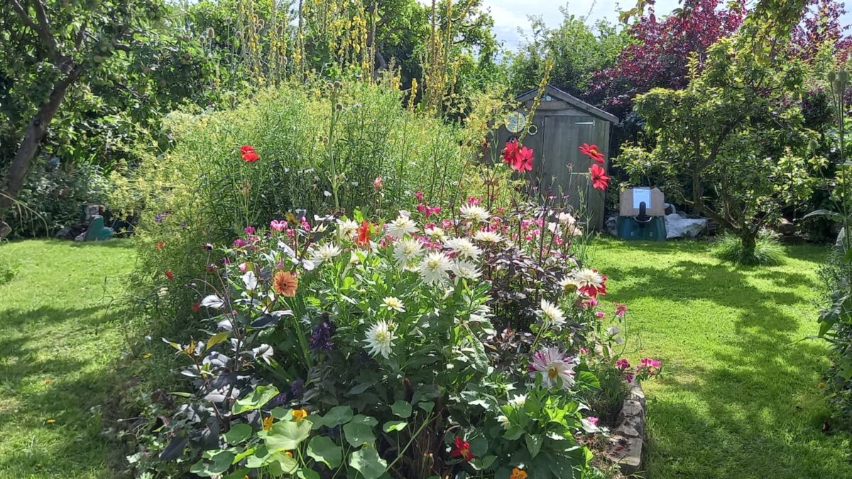 Garden Organic | Open gardens