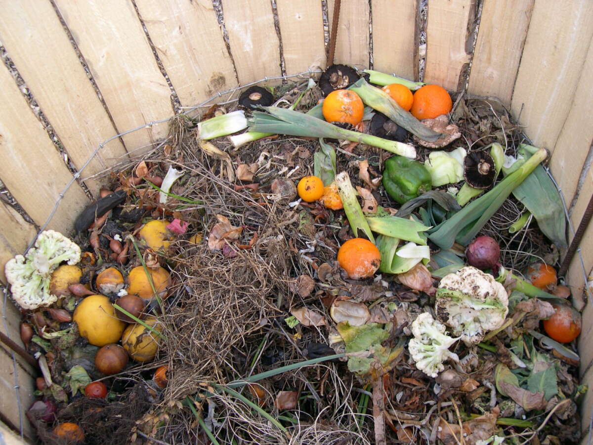 Garden Organic | What can I compost?