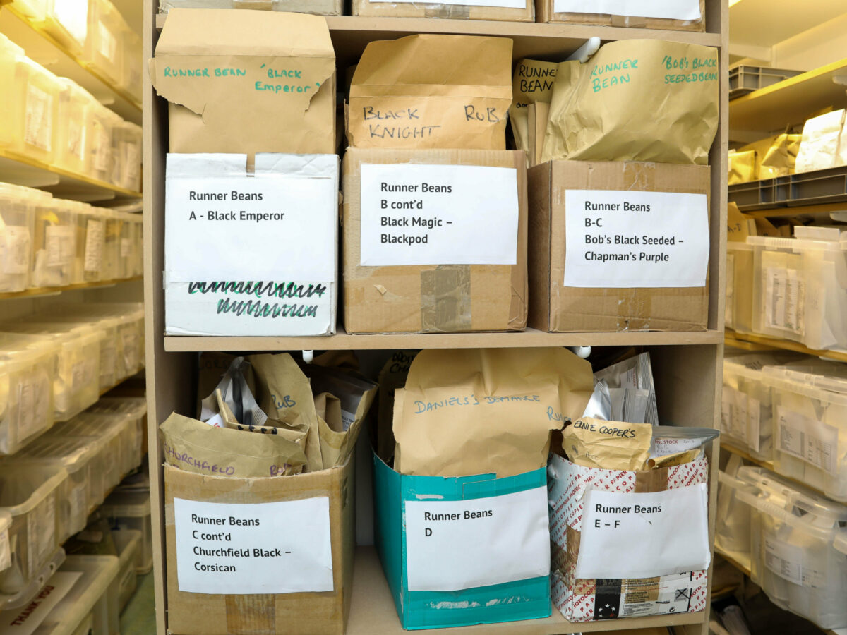 Garden Organic | The Heritage Seed Library