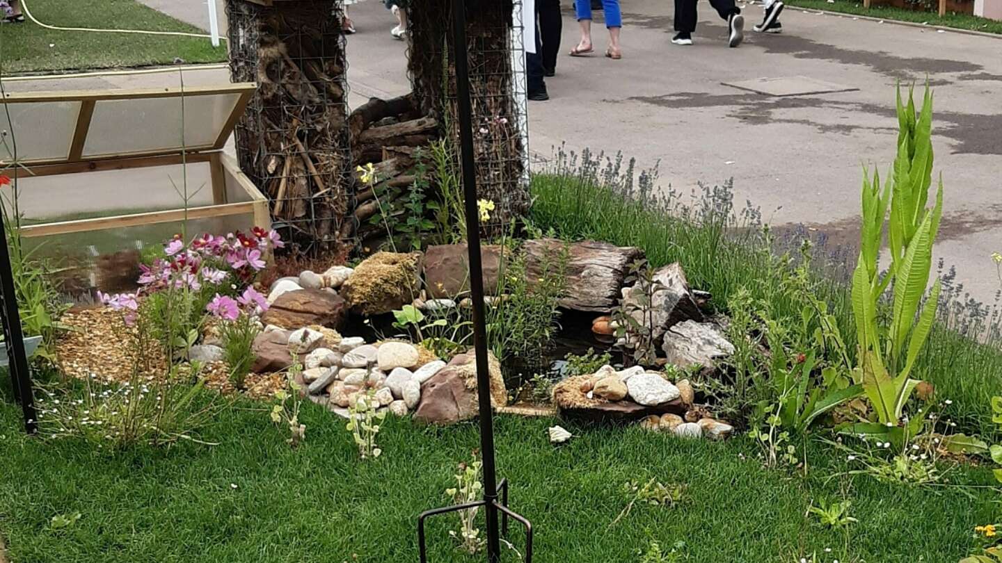 Five take outs from our Backyard Biodiversity show… | Garden Organic