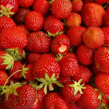 Garden Organic | Strawberry