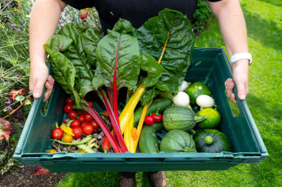 Garden Organic | Is organic food better for you?