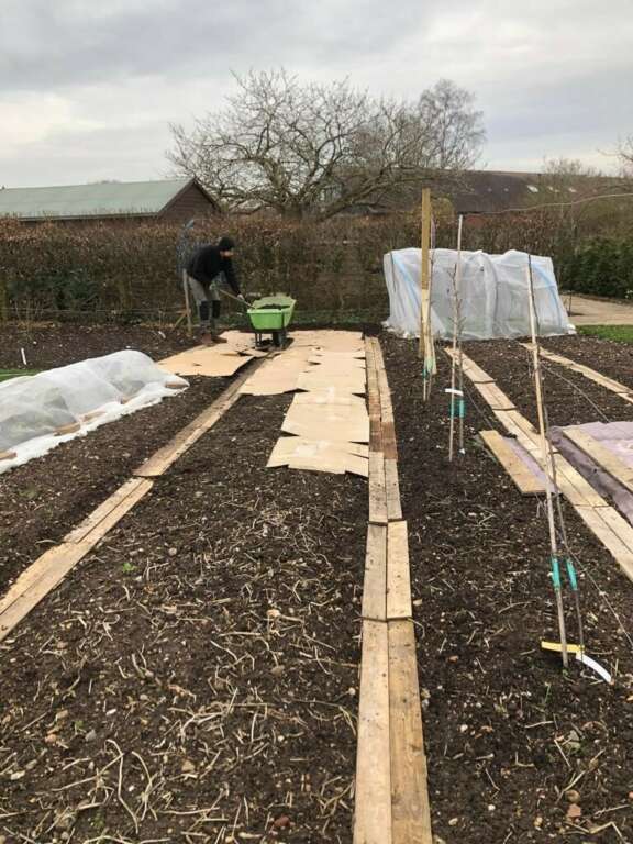 Garden Organic | How to clear large areas of weeds