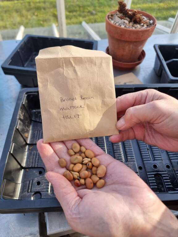 Garden Organic | The difference between open pollinated seeds and F1…