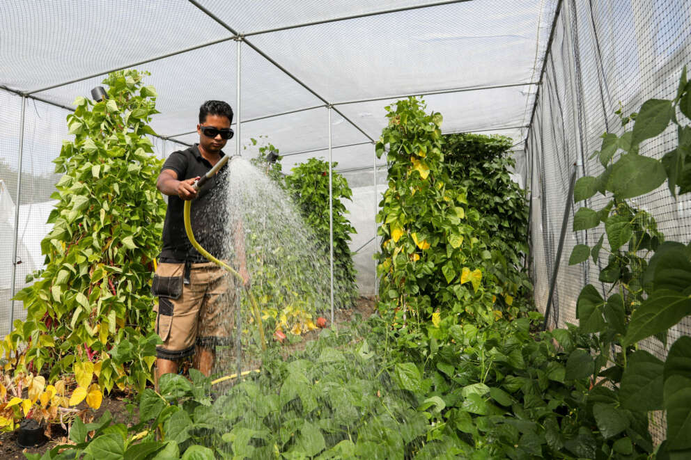 Heritage Seed Library features on BBC Gardeners World | Garden Organic