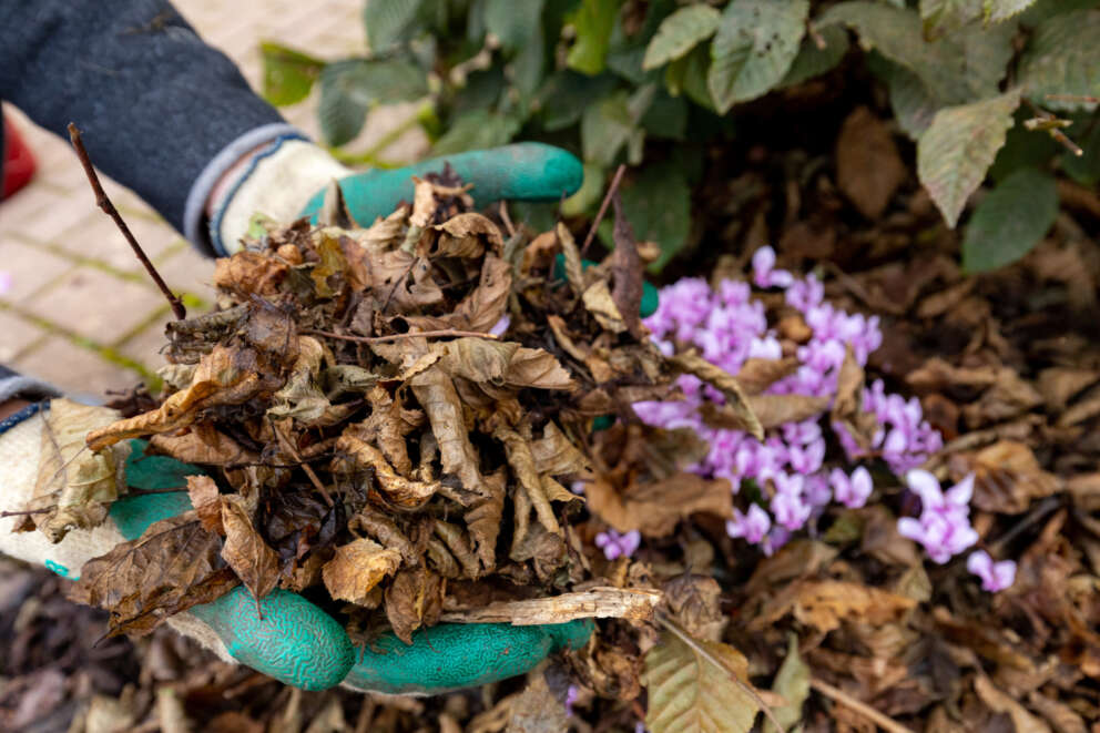 Garden Organic | Composting hints and tips